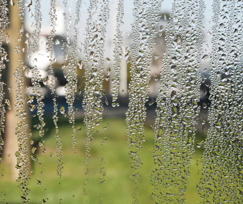 Understanding Condensation on Windows: Why It Happens and How to ...